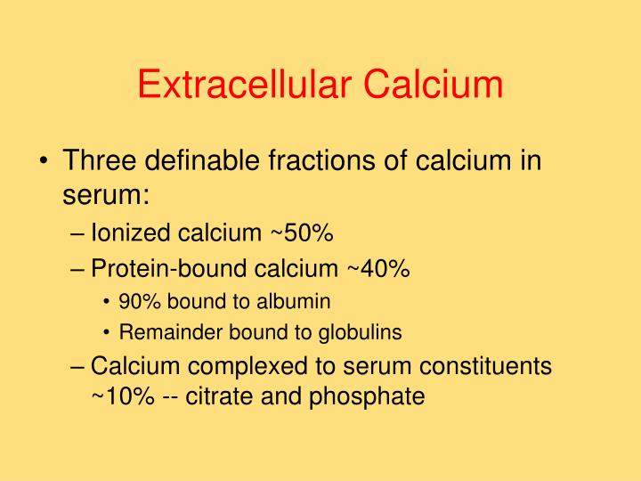 PPT - Calcium Homeostasis: Parathyroid Hormone, Calcitonin and Vitamin ...