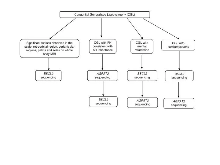 PPT - Congenital Generalised Lipodystrophy (CGL) PowerPoint ...