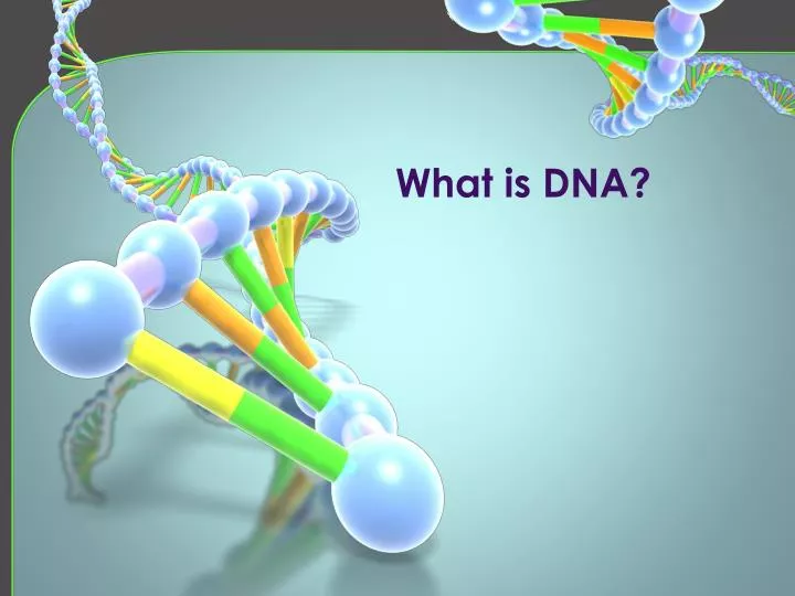 PPT - What is DNA? PowerPoint Presentation, free download - ID:3749644