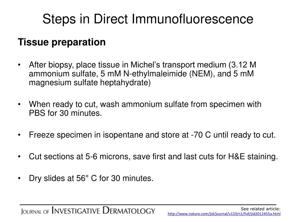 PPT - Research Techniques Made Simple: Immunofluorescence Techniques ... PPT - Research Techniques Made Simple: Immunofluorescence Techniques ...
