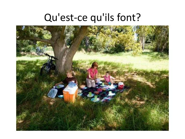 PPT - Qu'est-ce qu'ils font? PowerPoint Presentation, free download ...