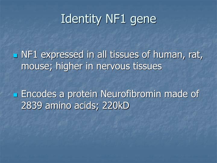 PPT - NF1 Neurofibromatosis PowerPoint Presentation - ID:3753222