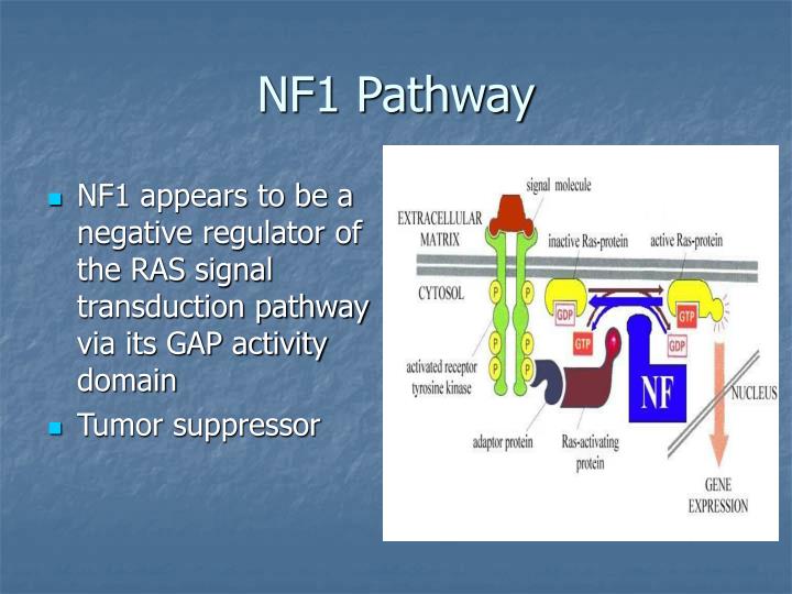 PPT - NF1 Neurofibromatosis PowerPoint Presentation - ID:3753222