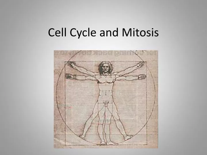 PPT - Cell Cycle and Mitosis PowerPoint Presentation, free download ...