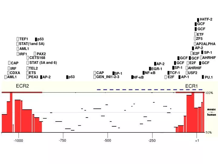 PPT - E2F PowerPoint Presentation, free download - ID:3753523