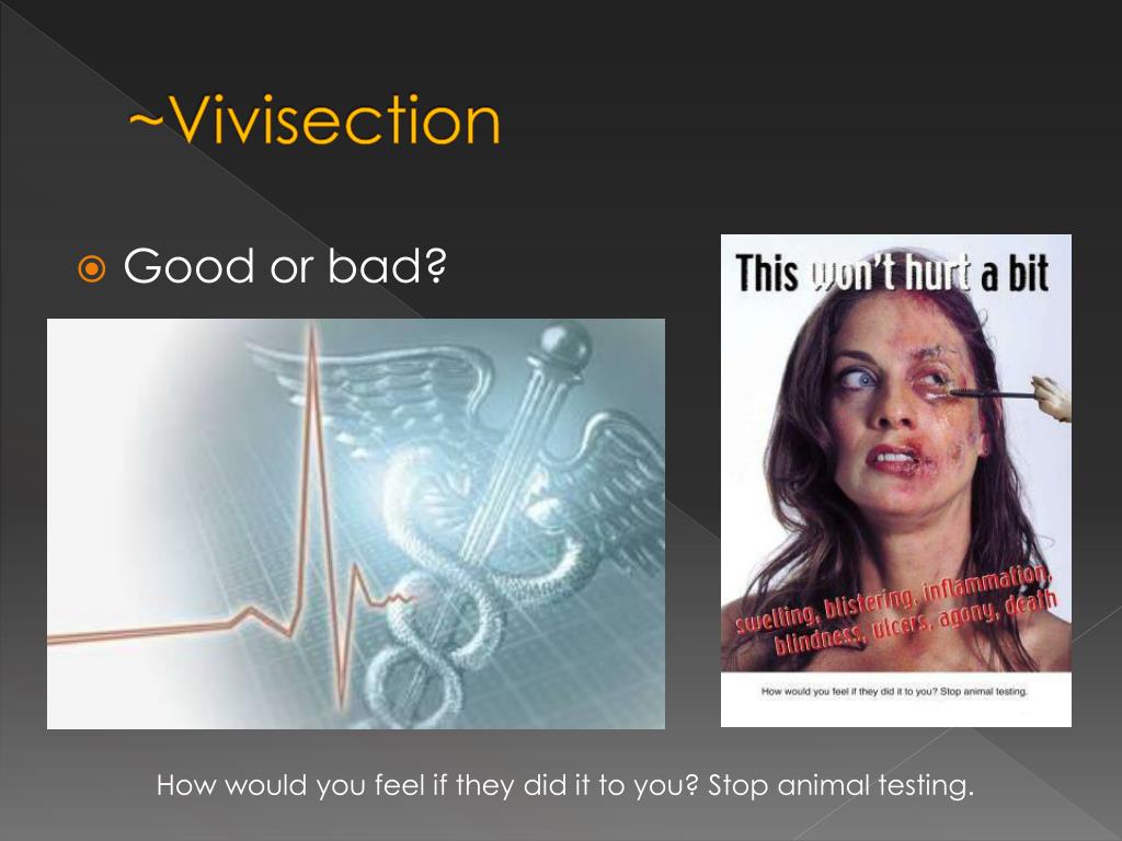 PPT - By: Sean Pastorok , Bailey Lien, James Hong, Alex Winters, and Kurt Schaller PowerPoint ...