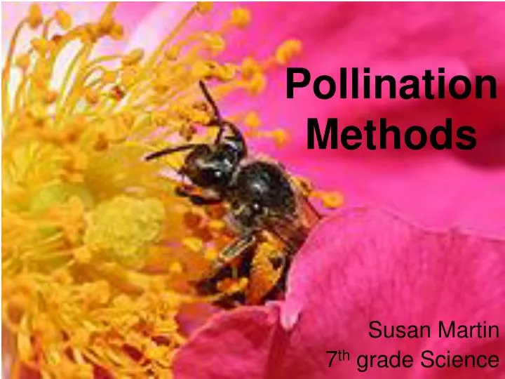 PPT - Pollination Methods PowerPoint Presentation, free download - ID ...