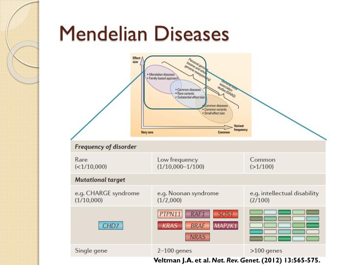 PPT - Exome Sequencing as Molecular Diagnostic Tool of Mendelian ...