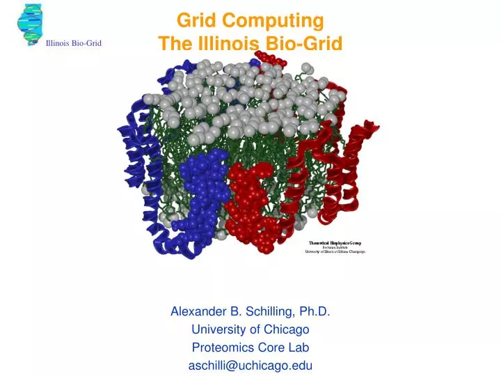 PPT - Grid Computing The Illinois Bio-Grid PowerPoint Presentation ...