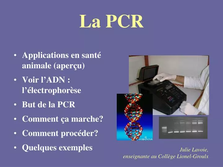PPT - La PCR PowerPoint Presentation, free download - ID:3757107