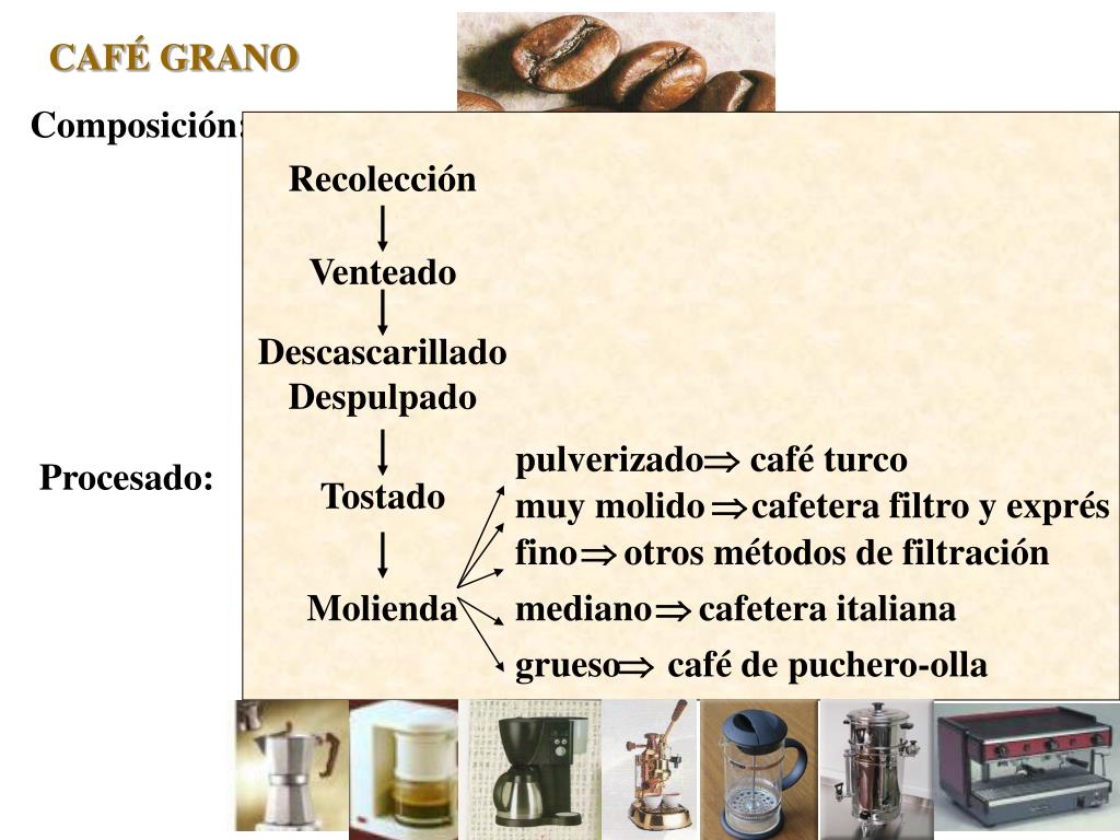 PPT - PROPIEDADES ANTIOXIDANTES DEL CAFÉ . ¿ALEGACIÓN NUTRICIONAL ...