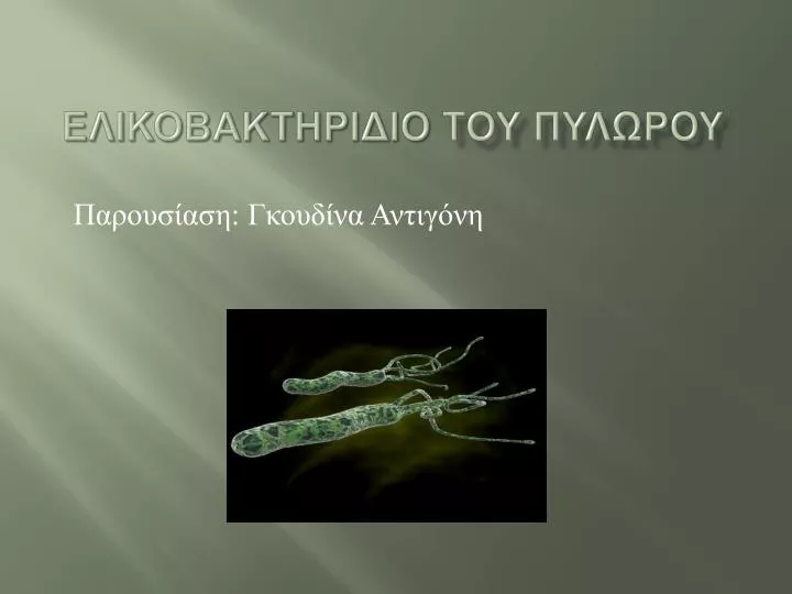 PPT - ΕΛΙΚΟΒΑΚΤΗΡΙΔΙΟ ΤΟΥ ΠΥΛΩΡΟΥ PowerPoint Presentation - ID:3758793