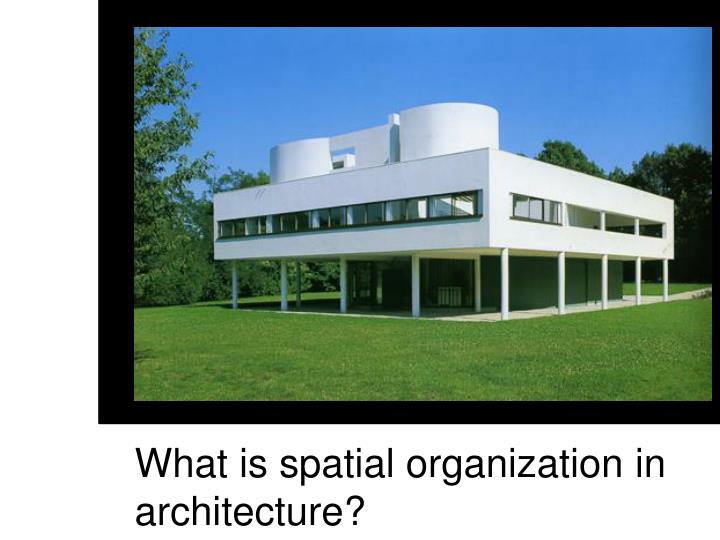 PPT - SPATIAL ORGANIZATION PowerPoint Presentation - ID:3759209