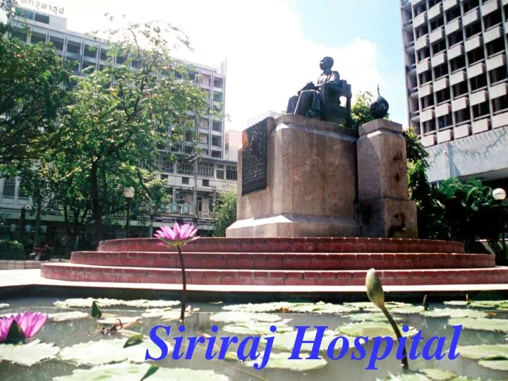 PPT - Siriraj Hospital PowerPoint Presentation, free download - ID:3760748