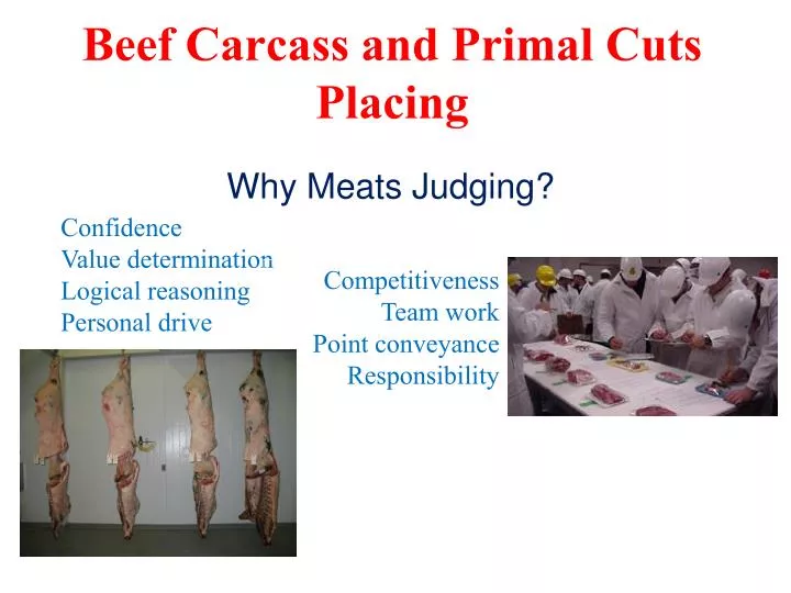 PPT - Beef Carcass and Primal Cuts Placing PowerPoint Presentation, free download - ID:3761548