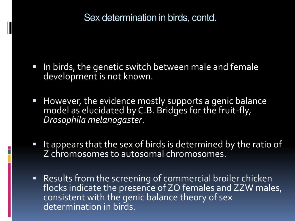 Ppt Biological Basis Of Sex Powerpoint Presentation Free Download Id3763676