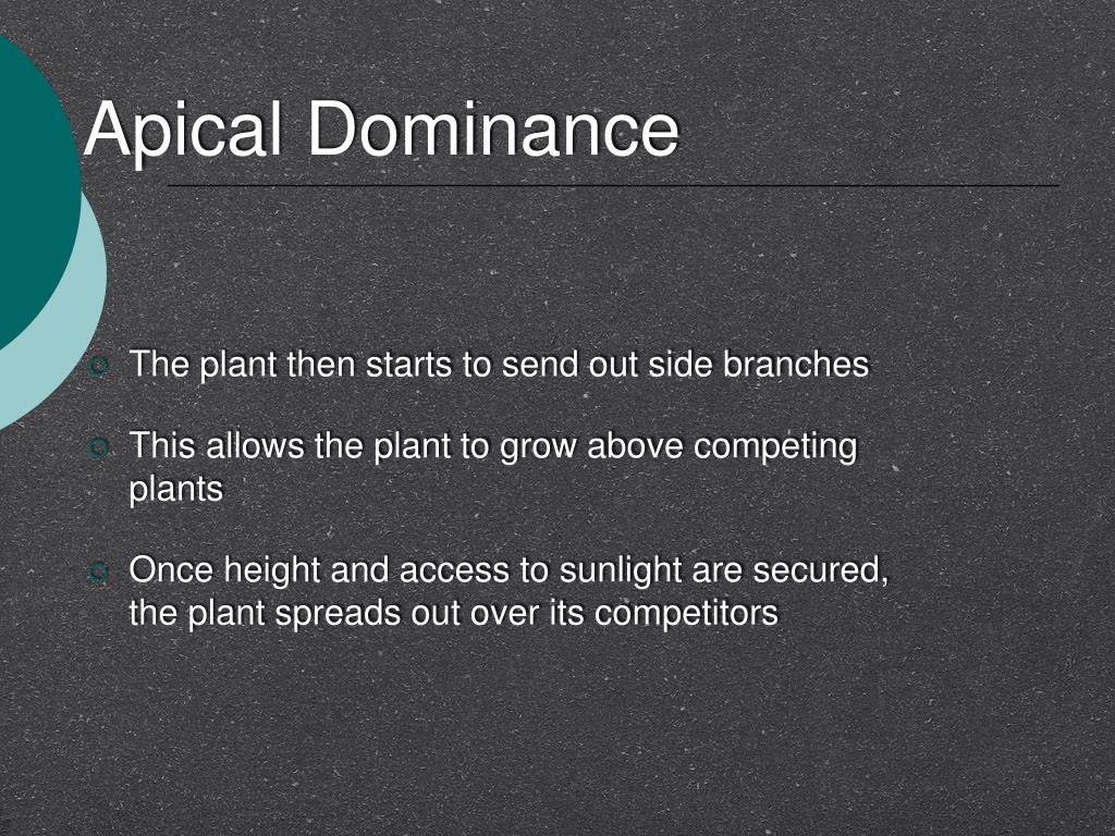 PPT - Growth Stimulants, Retardants, and Rooting Hormones PowerPoint ...