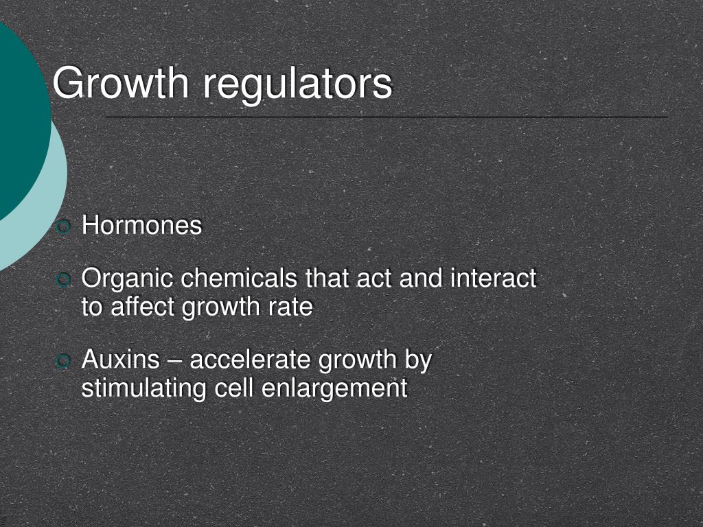 PPT - Growth Stimulants, Retardants, and Rooting Hormones PowerPoint ...