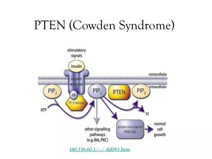 PPT - PTEN (Cowden Syndrome) PowerPoint Presentation, free download ...