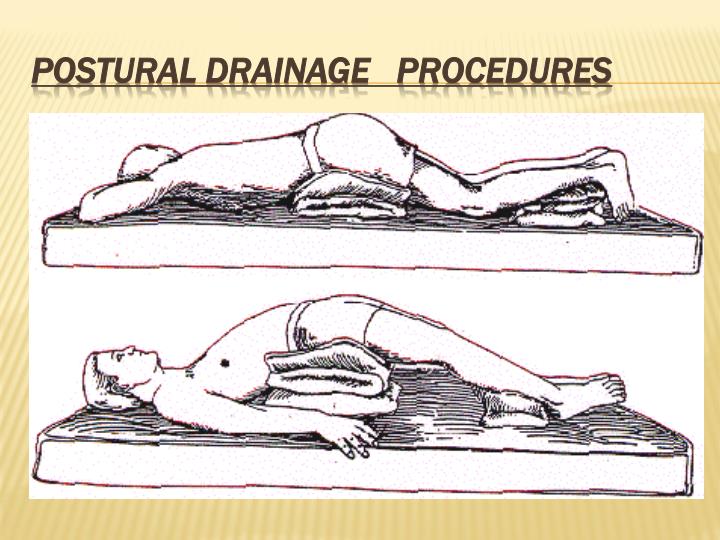 PPT - Chest Physiotherapy By Dr. Hanan Said Ali PowerPoint Presentation ...