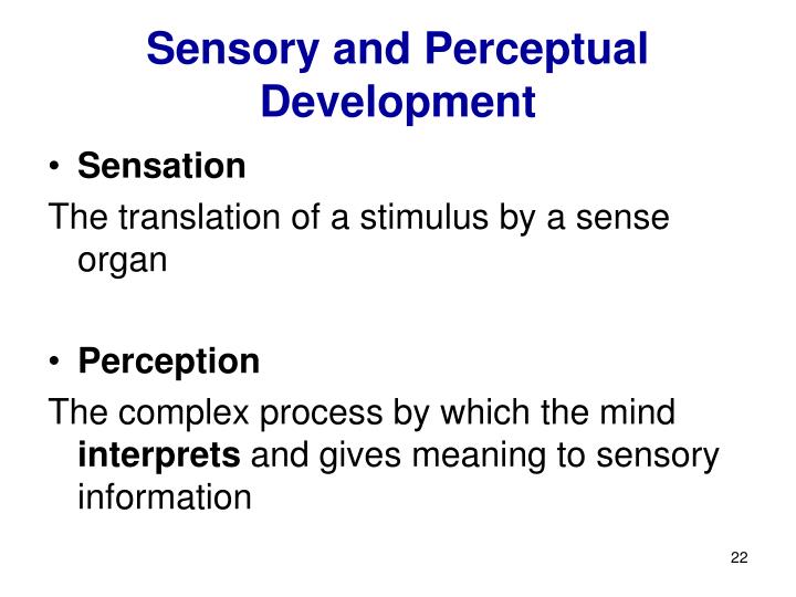 PPT - Infancy Cognitive, Physical, Language Development PowerPoint ...