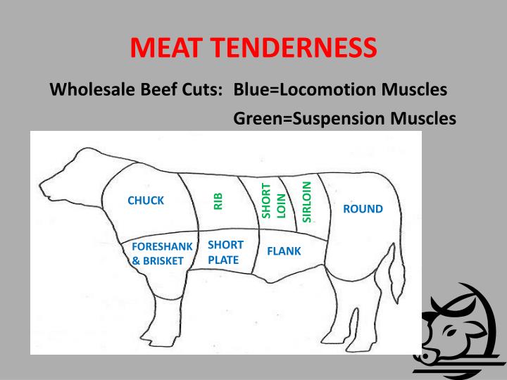 PPT - MEAT PowerPoint Presentation - ID:3767583