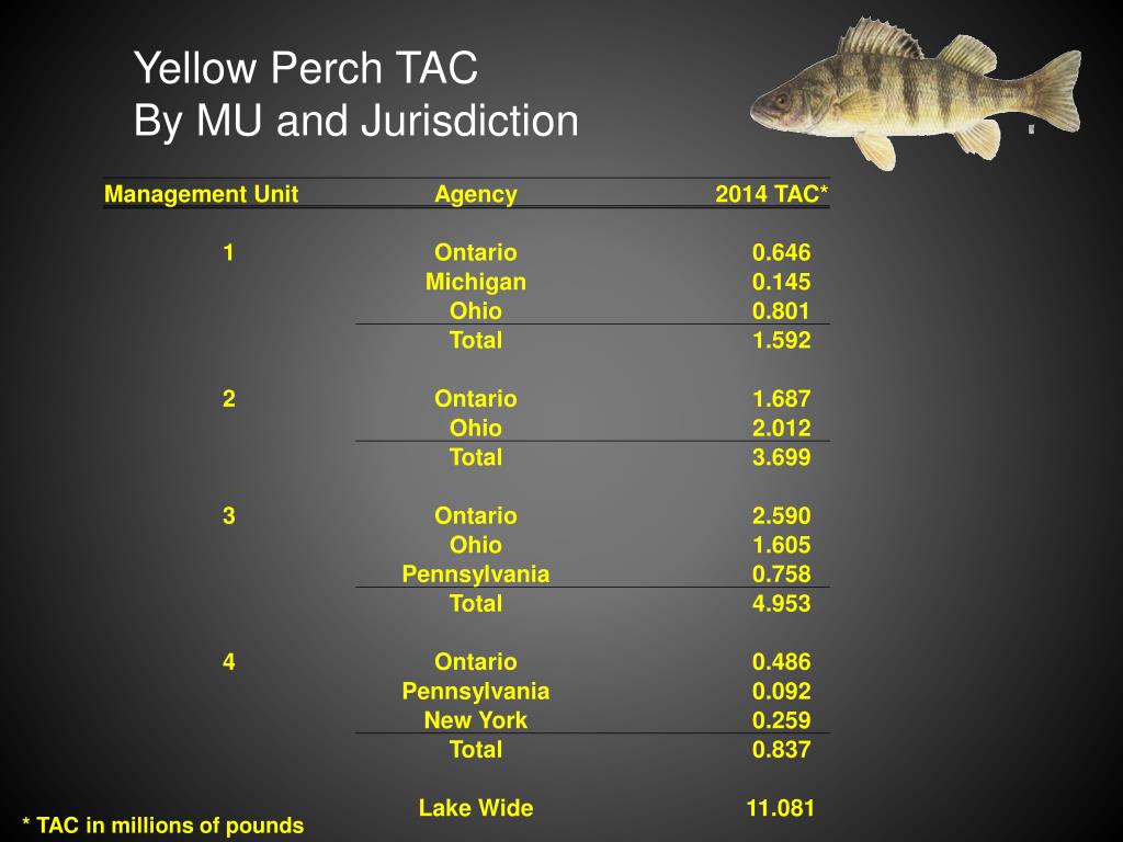 PPT - 2014: 11.081 million pounds MU1: 1.592 m MU2: 3.699 m MU3: 4.953 ...