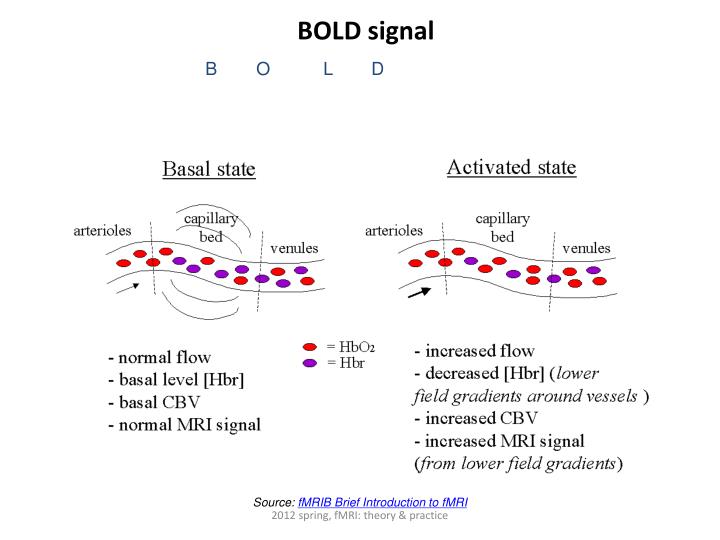 PPT - Class 3: Introduction of fMRI PowerPoint Presentation - ID:3768613