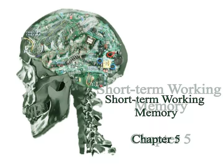 PPT - Short-term Working Memory Chapter 5 PowerPoint Presentation, free ...