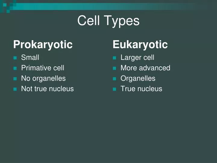 PPT - Cell Types PowerPoint Presentation, free download - ID:3771448