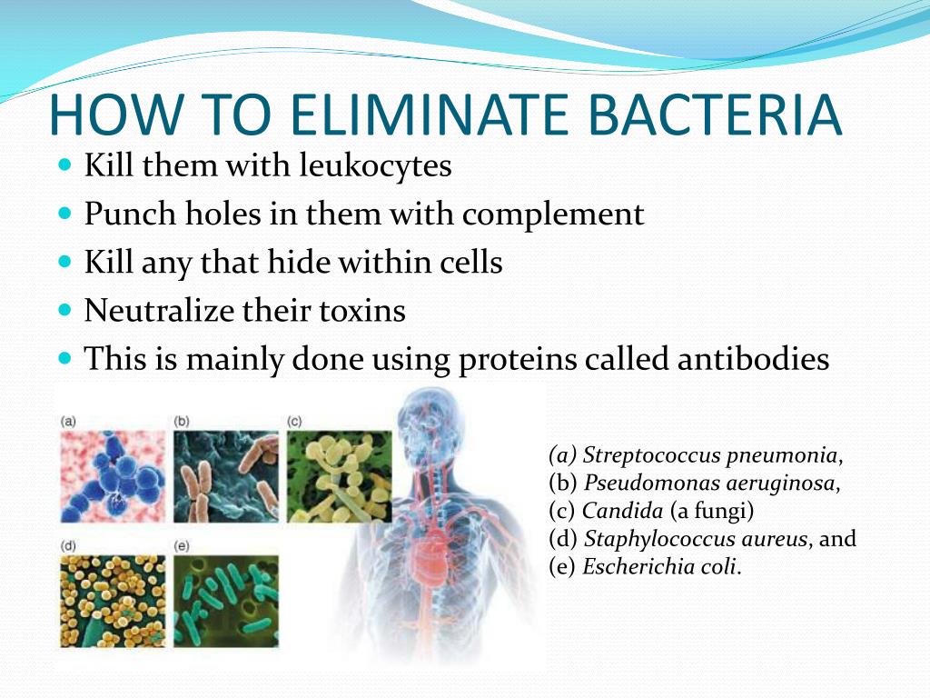PPT - Protecting Our Bodies: Our Battle Against Microbes PowerPoint ...