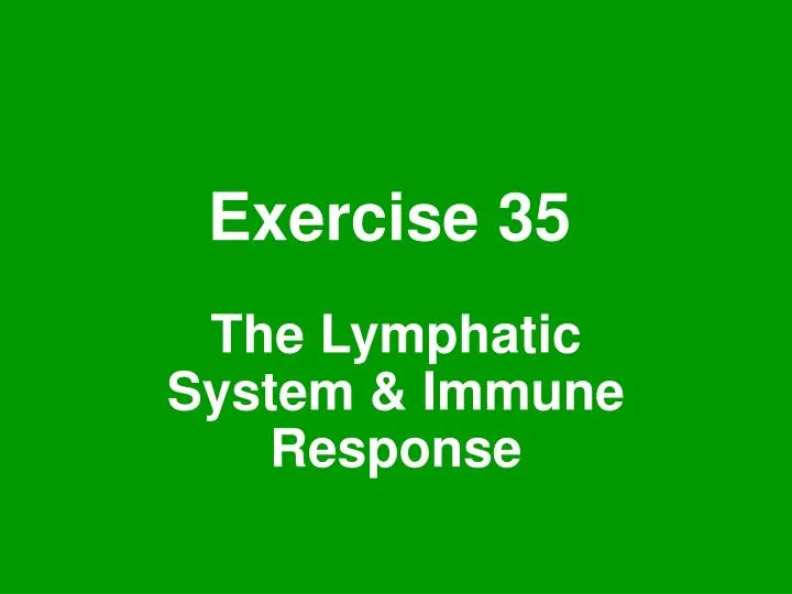 PPT - Exercise 35 PowerPoint Presentation, free download - ID:3772059