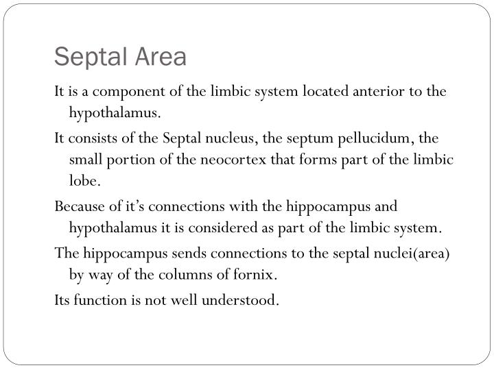 PPT - The olfactory System and limbic system PowerPoint Presentation ...