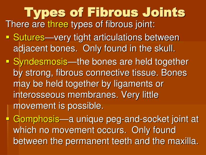 PPT - Joints! PowerPoint Presentation - ID:3772670