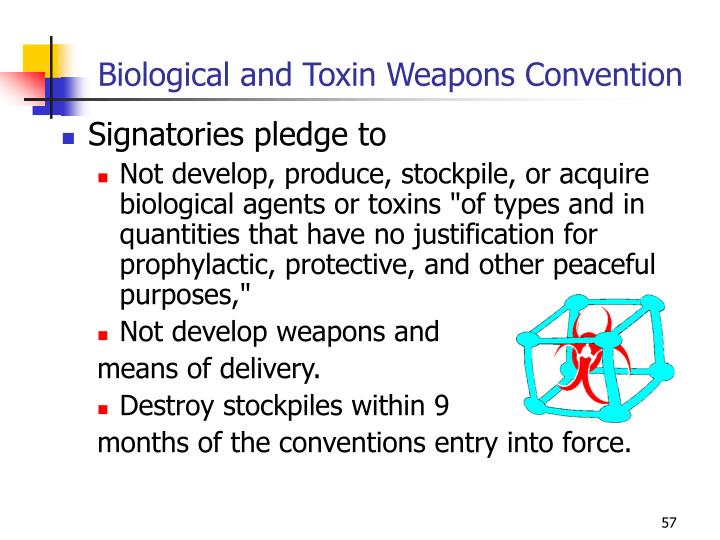 PPT - Weapons of Mass Destruction: Nuclear Biological Chemical ...