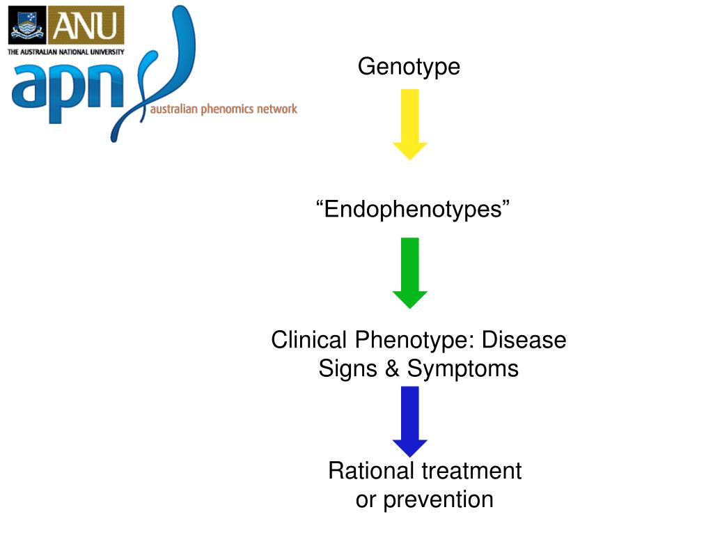 PPT - Clinical Phenotype: Disease Signs & Symptoms PowerPoint ...