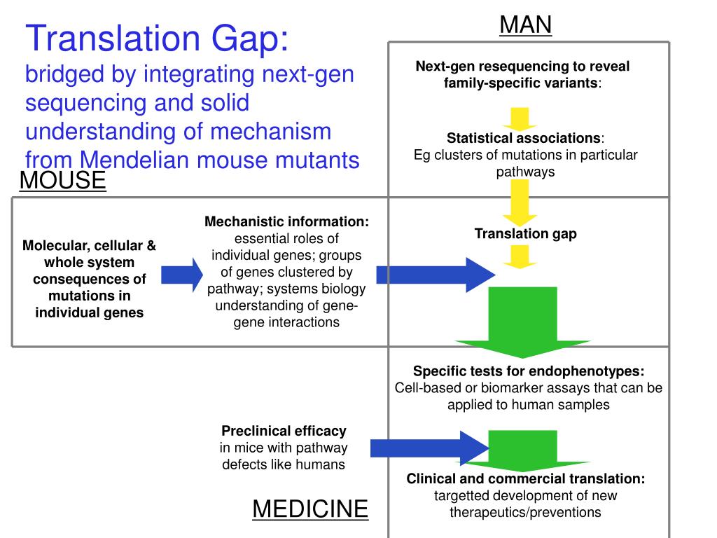 PPT - Clinical Phenotype: Disease Signs & Symptoms PowerPoint ...