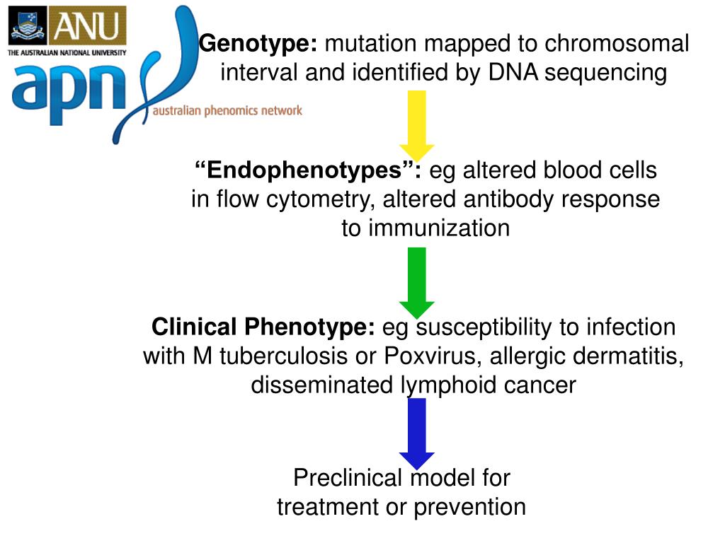 PPT - Clinical Phenotype: Disease Signs & Symptoms PowerPoint ...