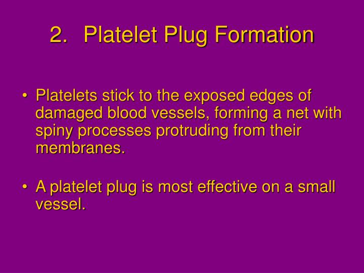 PPT - BLOOD PowerPoint Presentation - ID:3774693