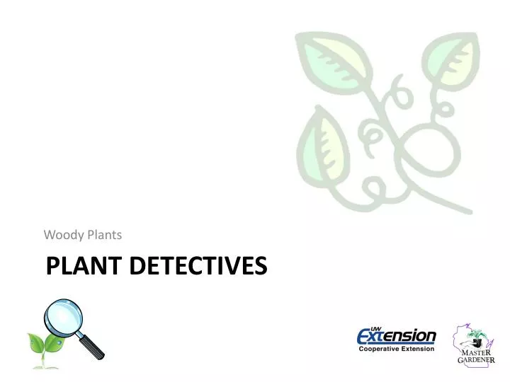 PPT - Plant Detectives PowerPoint Presentation, free download - ID:3774983
