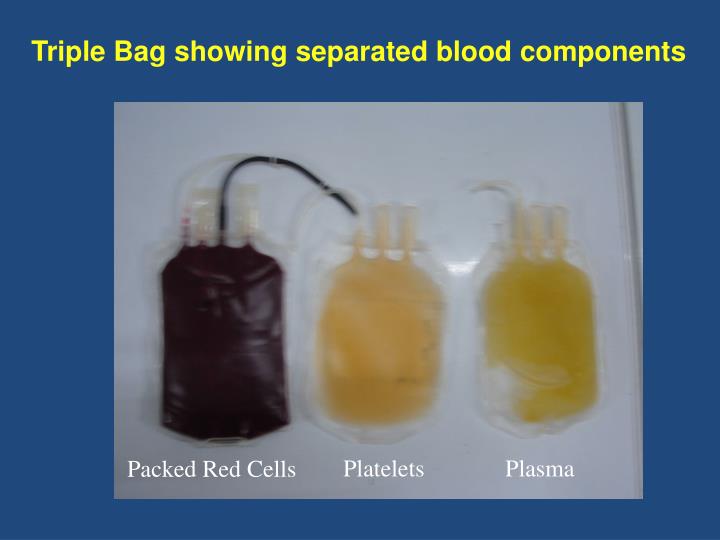 PPT - BLOOD COMPONENT PREPARATION PowerPoint Presentation - ID:3775836