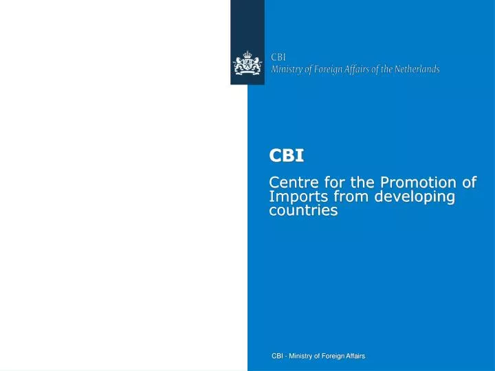 PPT - CBI PowerPoint Presentation, free download - ID:3775866