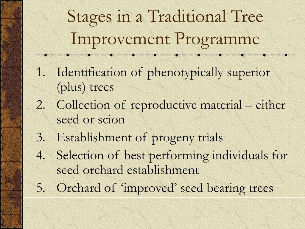 PPT - Genetic improvement of ash in British forestry: Floral Diversity ...