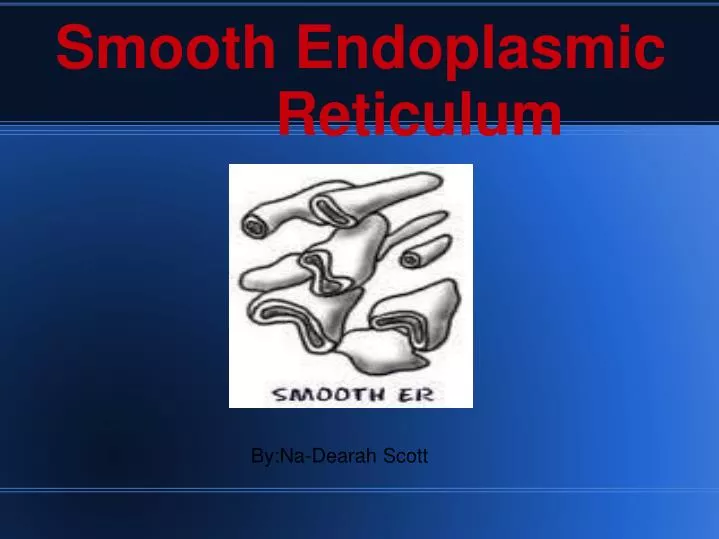PPT - Smooth Endoplasmic Reticulum PowerPoint Presentation, free ...