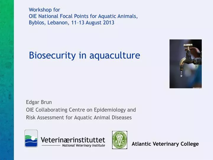 PPT - Biosecurity in aquaculture PowerPoint Presentation, free download ...