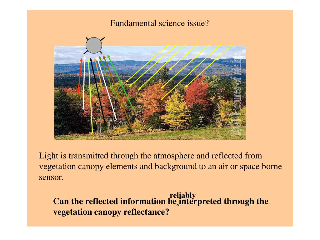 PPT - A Coupled Leaf/Canopy Turbid Medium Radiative Transfer Model ...