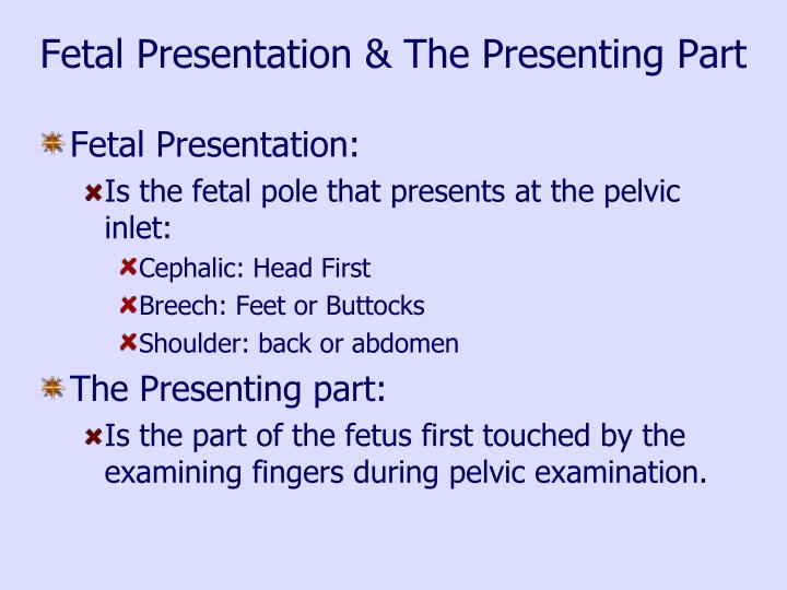PPT - Obstetric Anatomy PowerPoint Presentation - ID:3778290