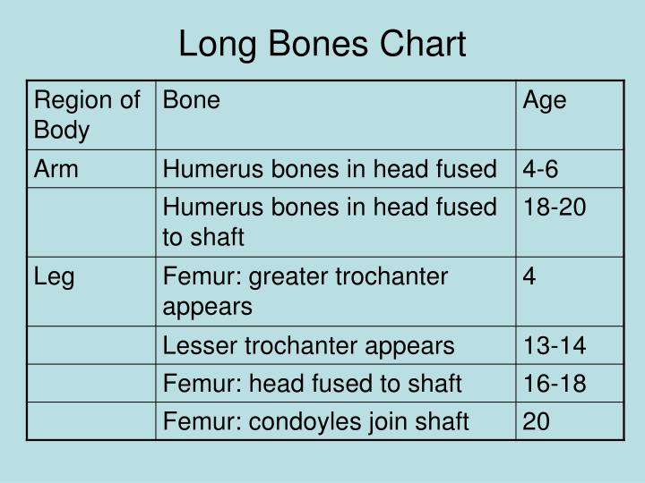 PPT - Forensic Anthropology PowerPoint Presentation - ID:3778685