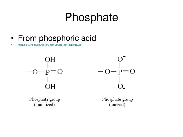 PPT - DNA PowerPoint Presentation - ID:3780026