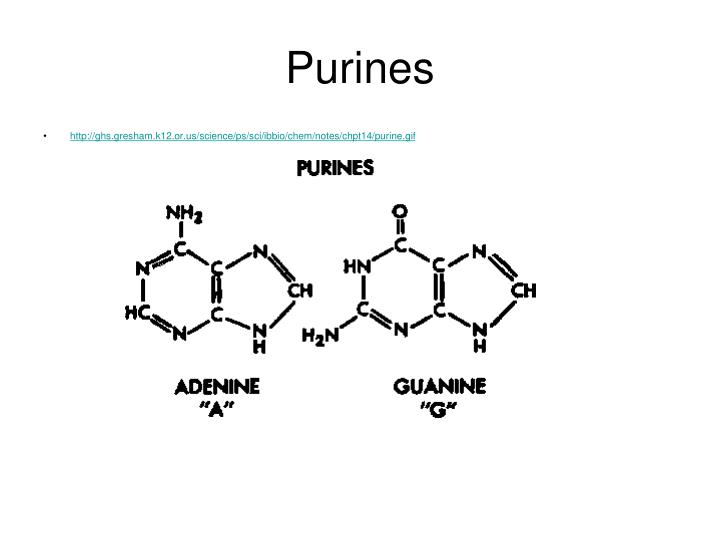 PPT - DNA PowerPoint Presentation - ID:3780026